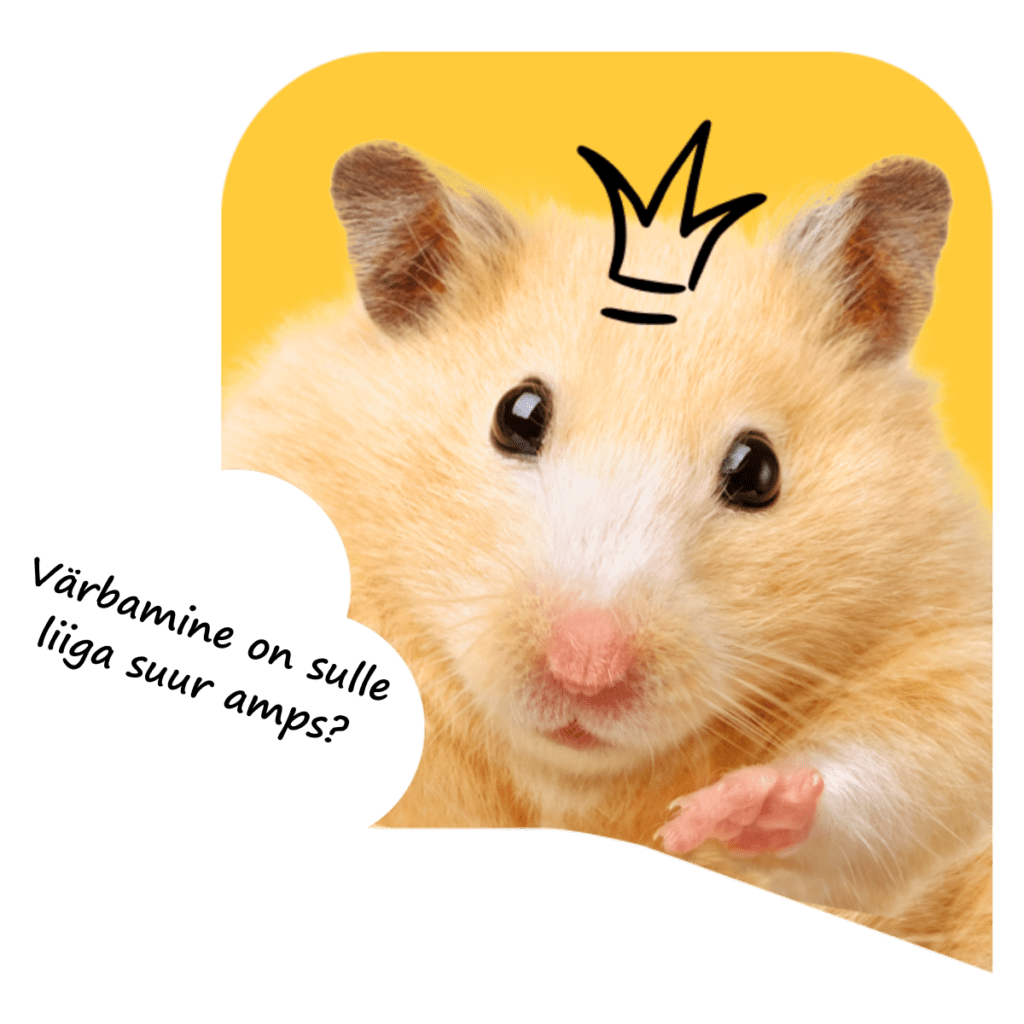 Värbamisteenused, personaliotsing tööandjatele | CV-Online